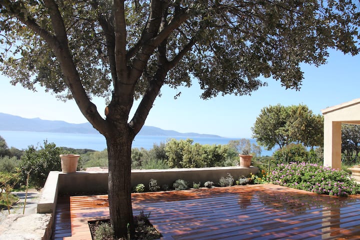 Appartement Rez-de-jardin 3 Chambres Ogliastrello - Plage d'Olmeto