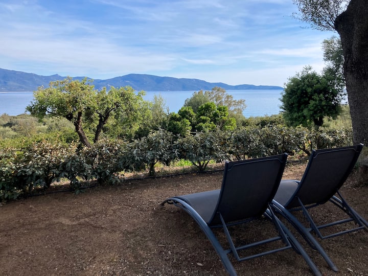 Rez-de-villa Indépendant 2 Chambres Ogliastrello - Plage d'Olmeto