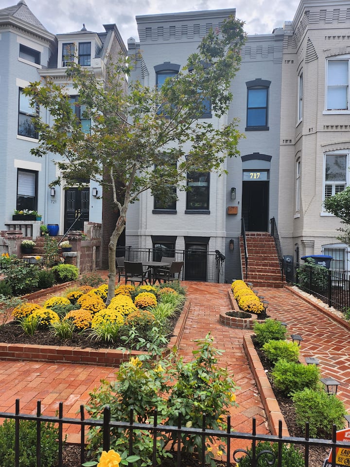 Updated Capitol Hill 1bed/1bath English Basement - Washington, D.C.