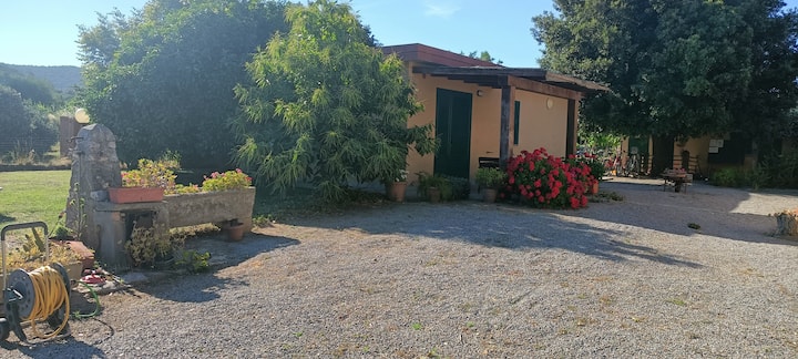 Appartamento Con Veranda A 2 Km Dal Mare - Castiglione della Pescaia