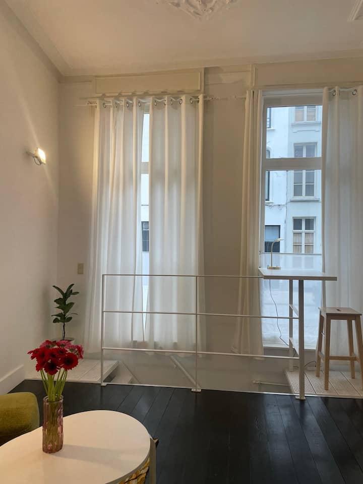 Art-deco Apartment In The Heart Of Antwerp - Anvers