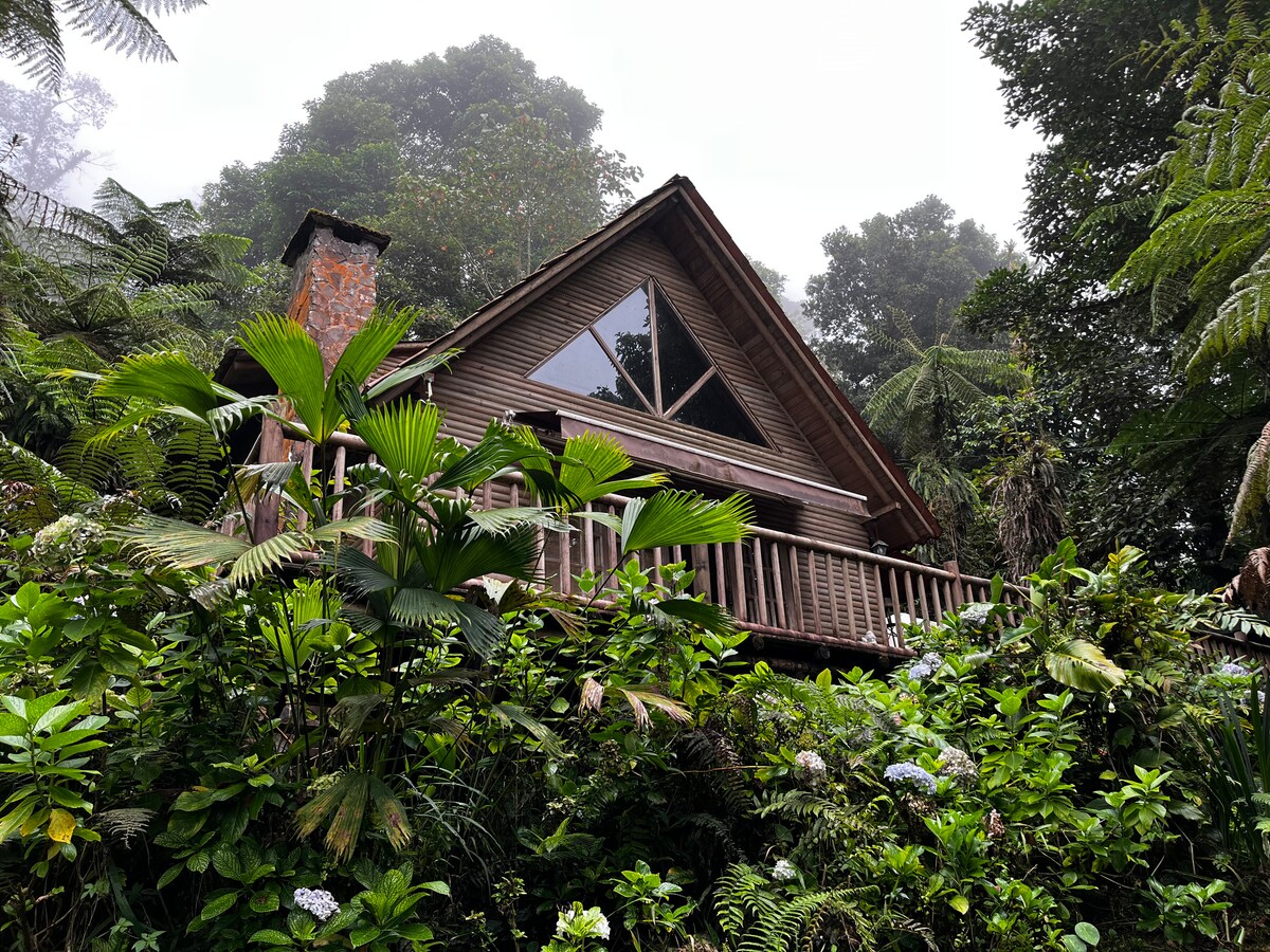 Cabaña Arborescente - Cabañas en renta en Finca Echandi, San José ...