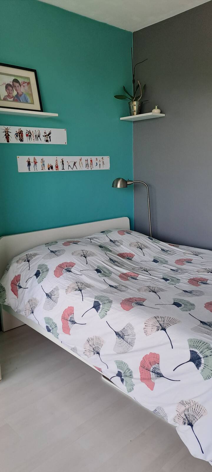Chambre à Louer - Pauillac