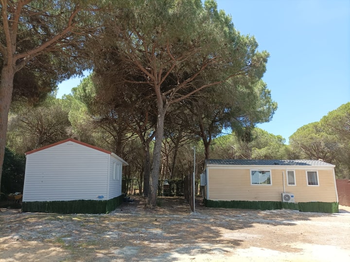 Se Trata De Dos Mobilhome Con Zona De Barbacoa - El Puerto de Santa María