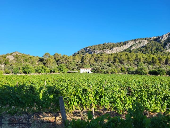 La Gerreria - Vallem Properties - Alcudia