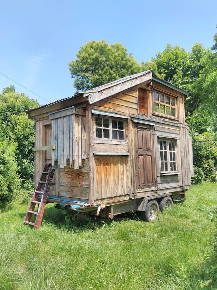 Brame Du Cerf Nuit Repas Boisson Petit Déjeuner - Le Mourtis