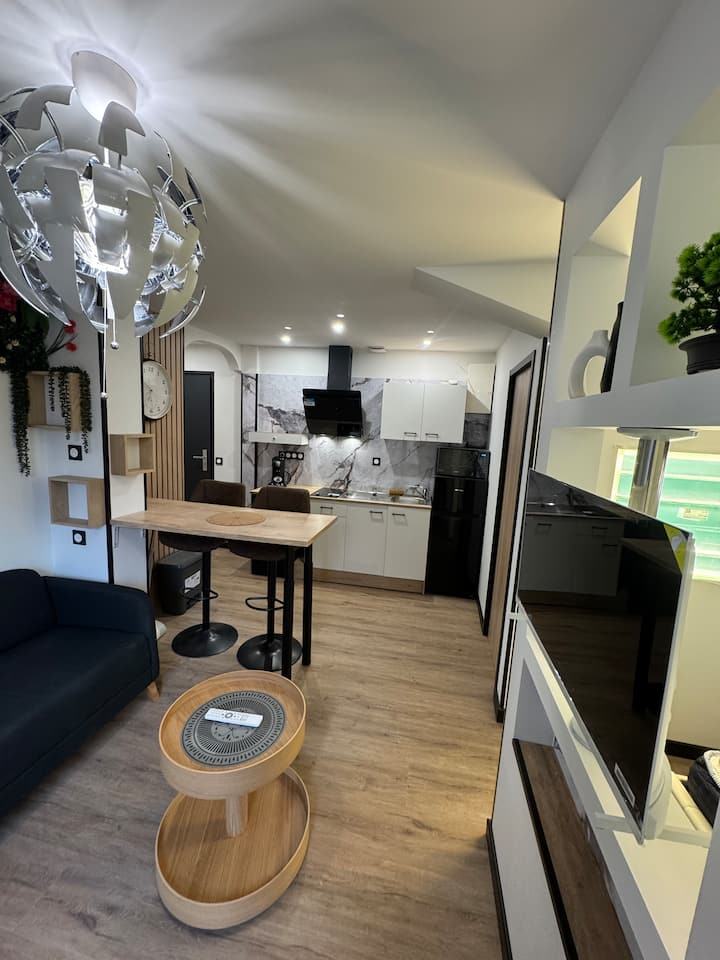 Le Nid Du Puy - Le Puy-en-Velay