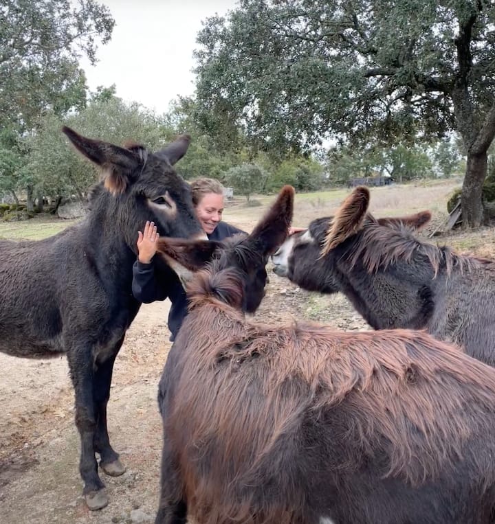 Retiro Dos Burros - Artist Retreat - Almeida, Portugal