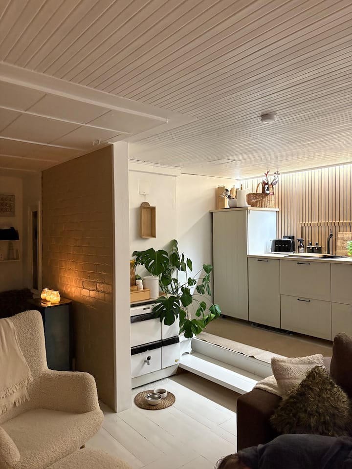 Idyllinen Meren Rannalla Oleva Mökki Mukavuuksin - Kaarina