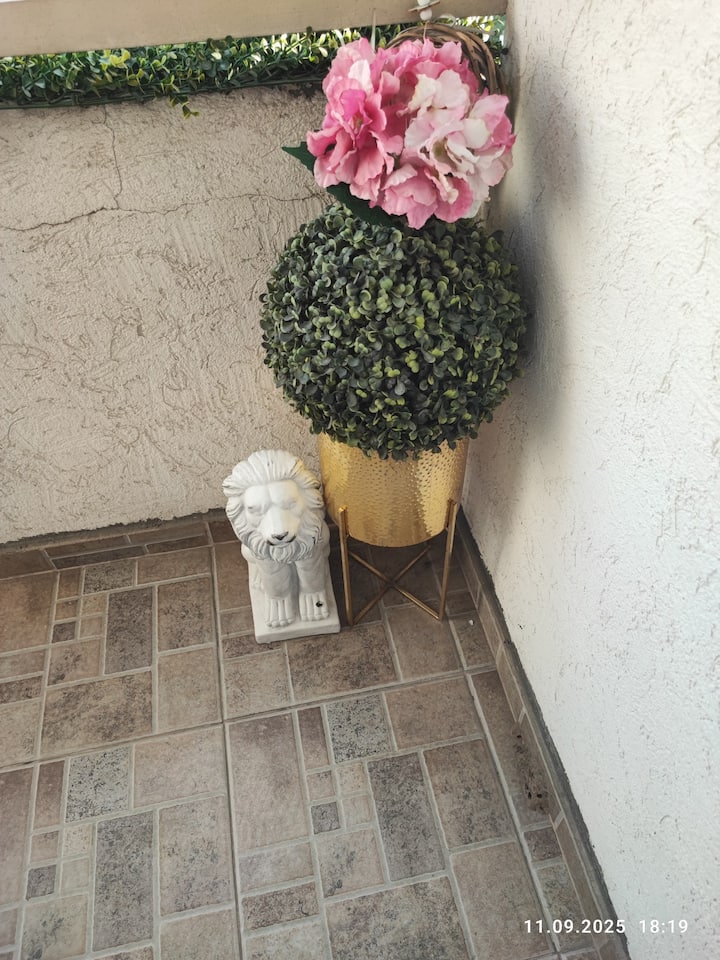 Not Just A Stay. Your Sofia Story. - Sofia