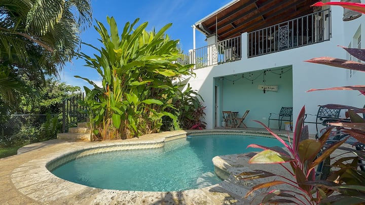 San Juan Pool Paradise, Large Deck, Game Room! - San Juan