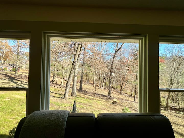 Bristol Tree House - Bristol, TN