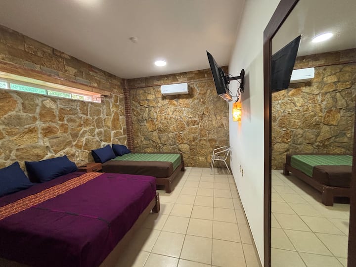 Suite Mono Araña Pb Completa - Tuxtla Gutiérrez