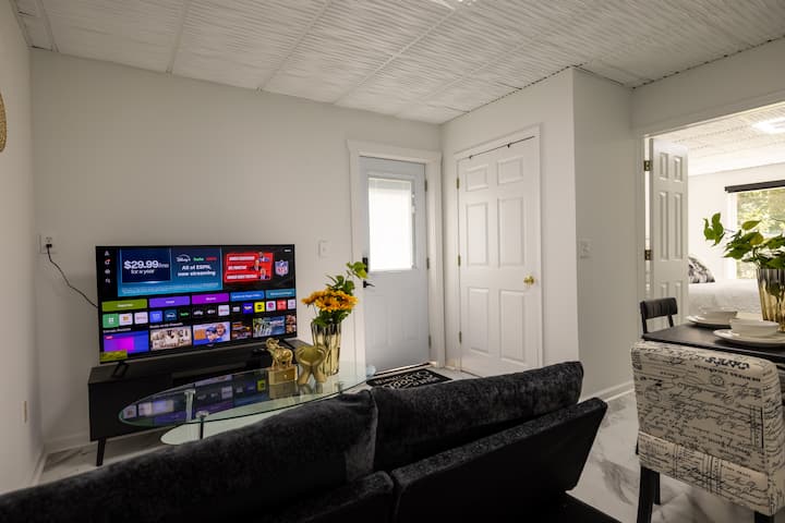 Perfect For Couples•basement Suite –Romantic•solo - Lawrenceville, GA