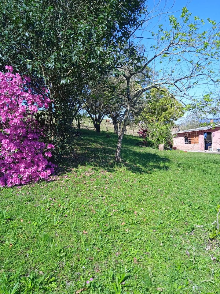 Alugo Sitio Com Cascata áRea Arborizada C/ Animais - Novo Hamburgo