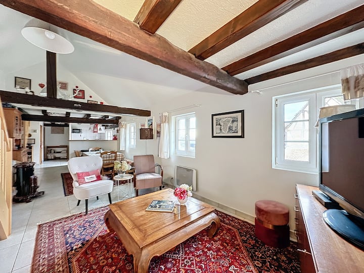 Gîte Alsacien, Moderne Et Cosy - Bas-Rhin