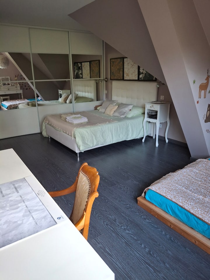 Grande Chambre B&b Avec Salle De Bain Privée - Brétigny-sur-Orge