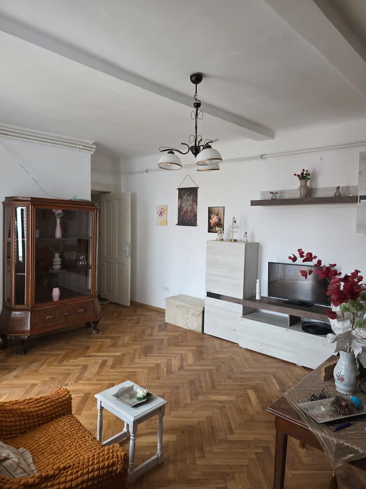 Apartament Rustic In Vila - Bukarest