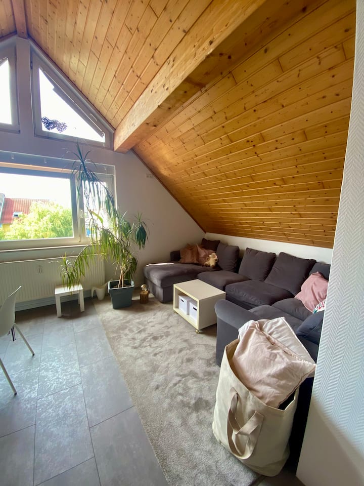 Neurenovierte Dachgeschosswohnung - Schwetzingen