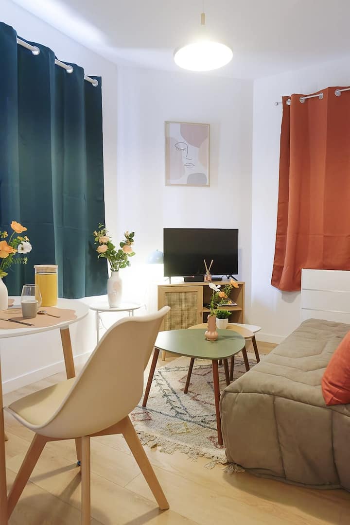 Le Lys D’or Studio Cosy Proche Lille/chu - Armentières