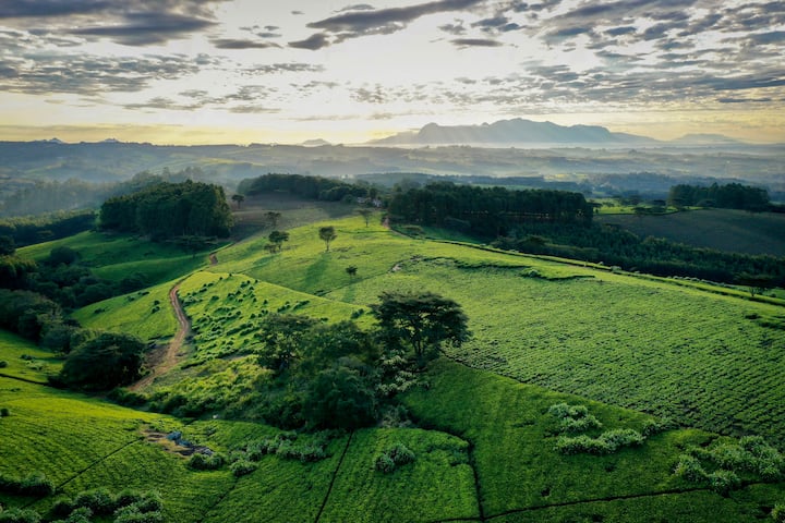 Chawani Bungalow - Satemwa Tea Estate - Malawi