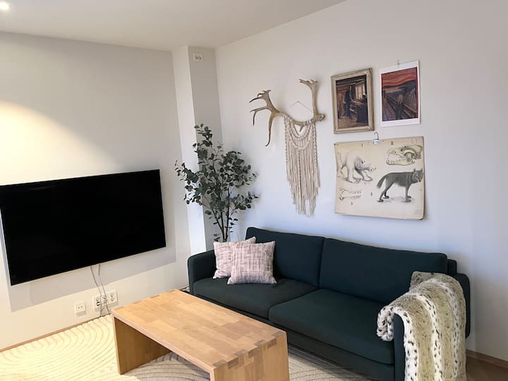 Modern Apartment In Ersfjordbotn - Norvège