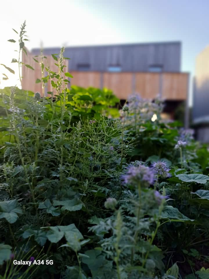 Maison Atypique Et éCologique 2 Pas Du Centre - Mons