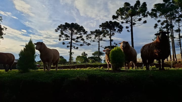 Camping Pra Motorhome E Barraca - Guarapuava, Brasil