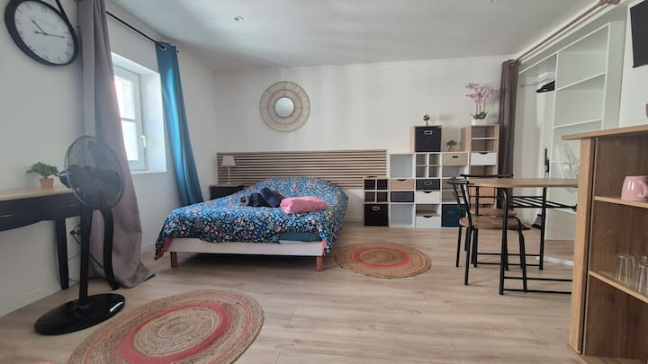 Cosy Appartement Place Stanislas - Laxou