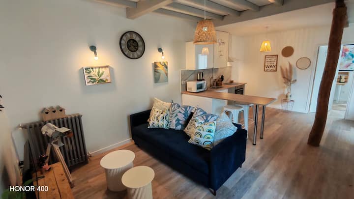 Cosy Dalia & Pétunia - 11 Pers -Centre Avec Balcon - Pau, Francia