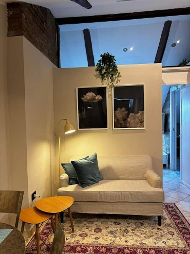 Mansarda In Palazzo Liberty Nel Centro Di Torino - Turin