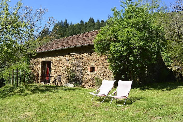 La Soue Met Zwembad - Conques