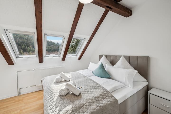 Appartement-salle De Bain Privée-vue Sur La Campag - Bad Wildbad