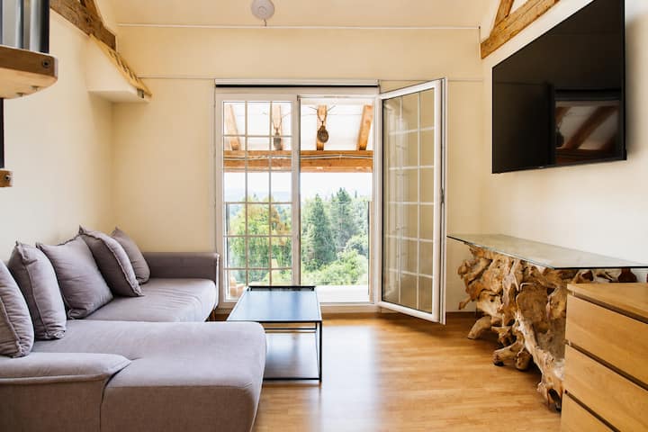 Duplex Dans Grande Ferme Rénovée - Divonne-les-Bains