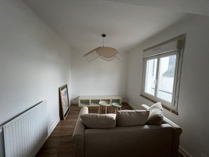 Appartement T3, Centre-ville, Proche Des Plages - Lorient