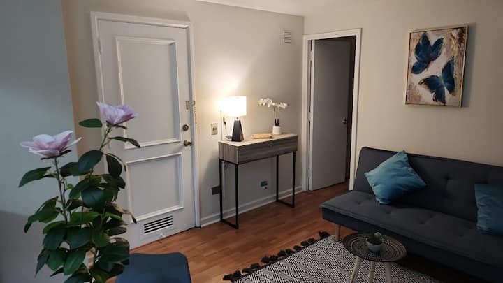 Costanera Vista Espectacular - Providencia