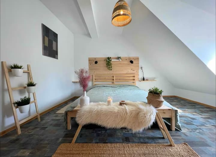 Scandinavian Pent House - Friesenheim