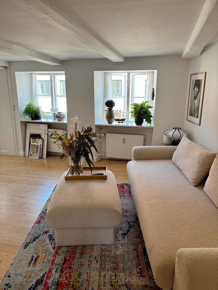 Unique 2-floor Apartment Near Copenhagen Center - Copenhaguen