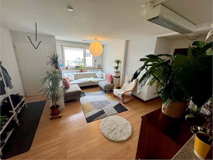 Zimmer In Bester Lage In Bern Inklusive Bernticket - Berne