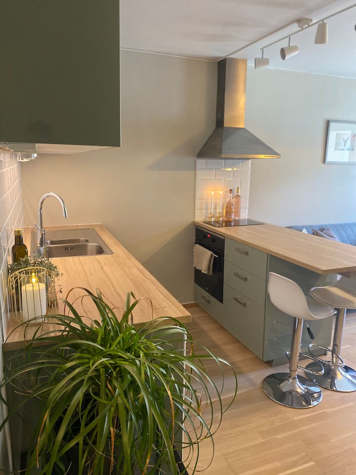 Sentral Leilighet I Kristiansand - Kristiansand