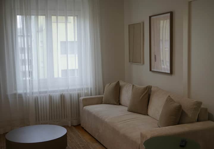 Friesstrasse- Large 3 Bedroom Apartment - Zúrich, Suiza
