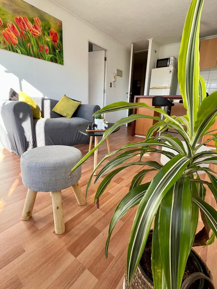 Lindo Apartamento En Santiago Centro (Downtown) - Santiago