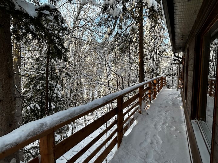 Léon Perché - Au Pied Des Monts-valin - Saguenay