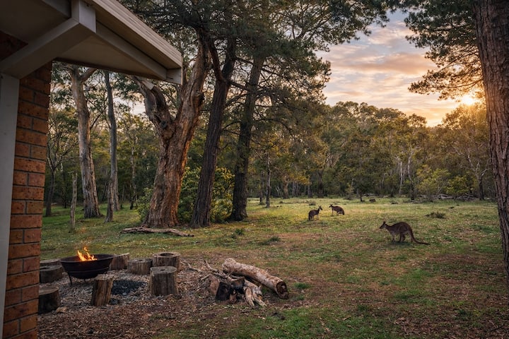 Kangaroo House - Halls Gap