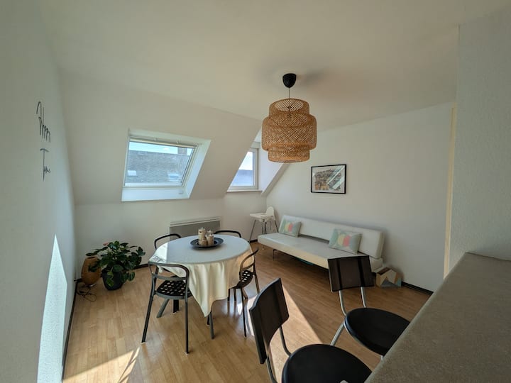 Appartement Strasbourg Centre - 스트라스부르