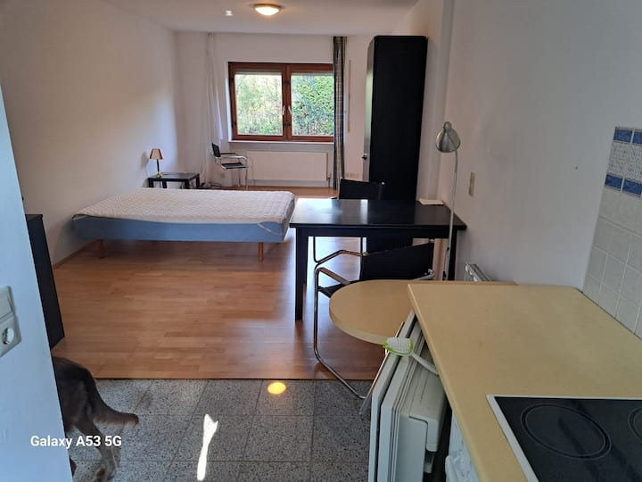 Zentral, Park, S-bahn, Bus, Langfrist. Hund - Eschborn