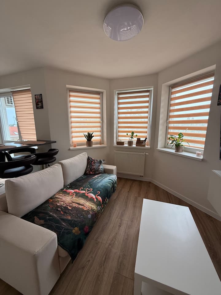 Flamingo Apartment - 