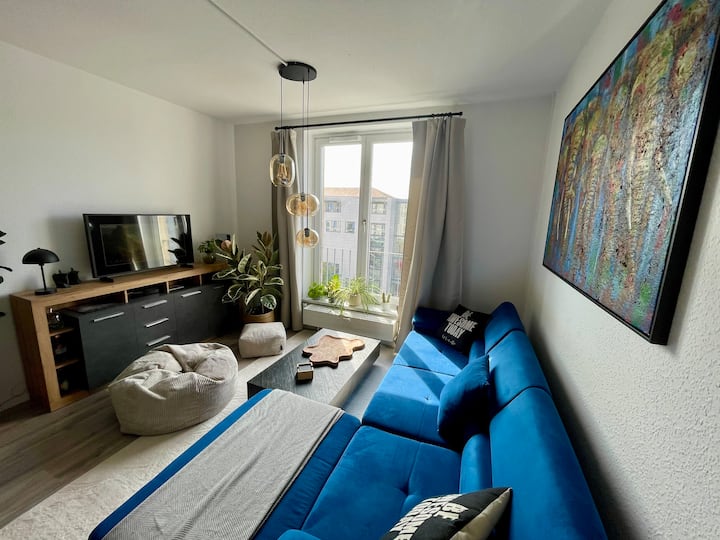 Stylisches, Gemütliches Apartment In Dresdens Herz - Dresden