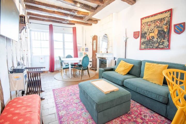 La Demeure Médiévale - Maison 4 Pers. Amboise - Amboise