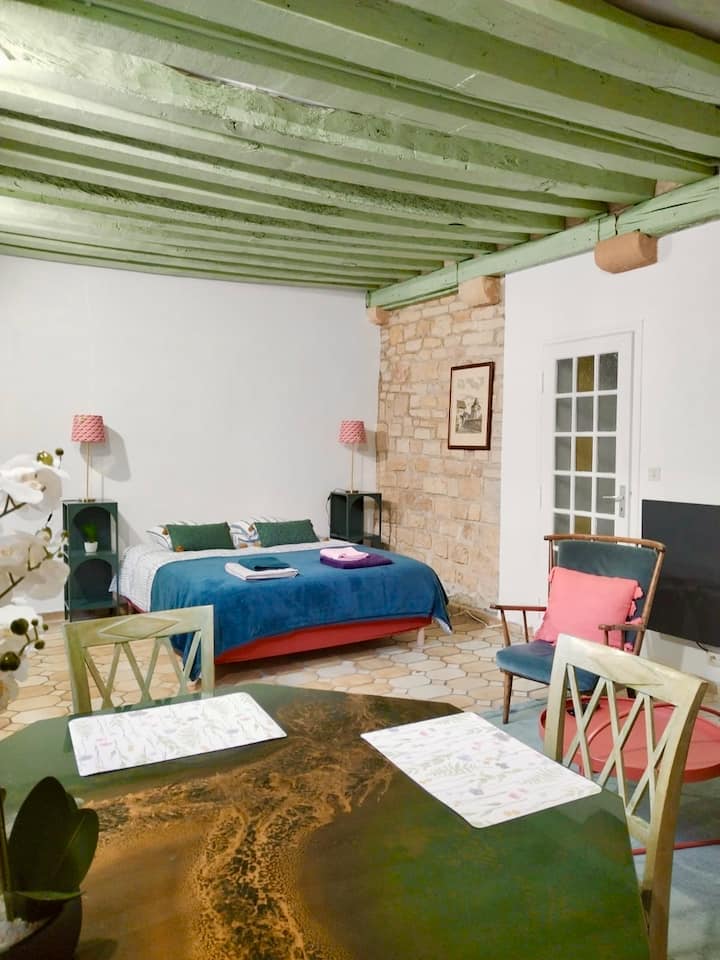 Studio Avec Cachet Au Cœur Historique De Nevers - Nevers